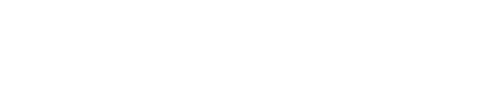 MOLOTOW™ Web Development - Eigene Website erstellen